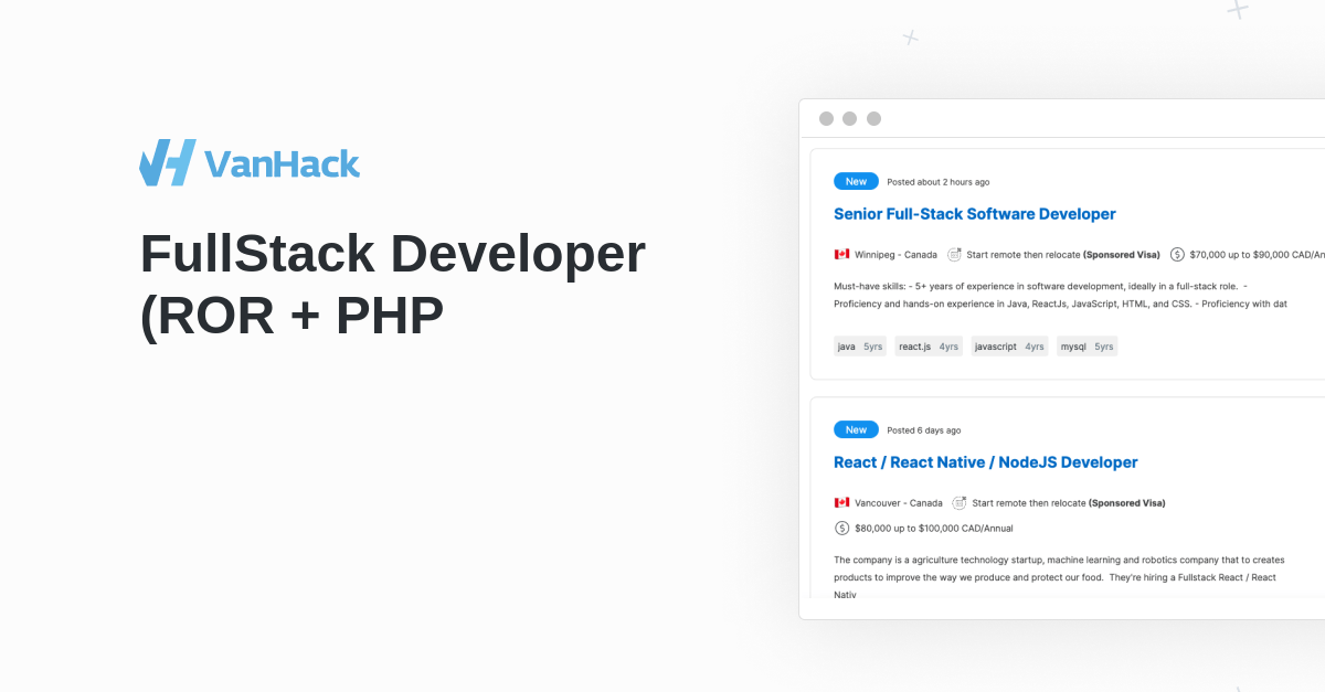 Software Developer Ror Vanhack - Geometric Illustration Collection - 4K Quality